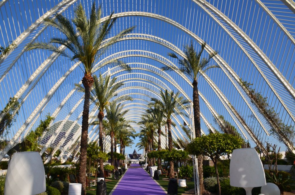 TERRAZA L'UMBRACLE - Happy Erasmus Valencia