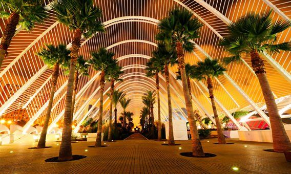 TERRAZA L'UMBRACLE - Happy Erasmus Valencia