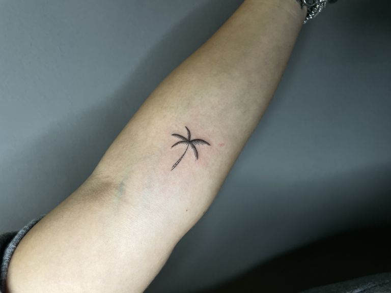 OFERTA ESPECIAL - 750VLC TATTOO - Happy Erasmus Valencia