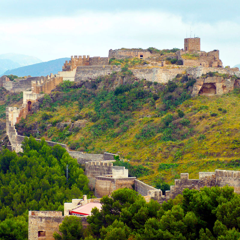 Sagunto, Castle and the Albufera of Valencia - Happy Erasmus Valencia