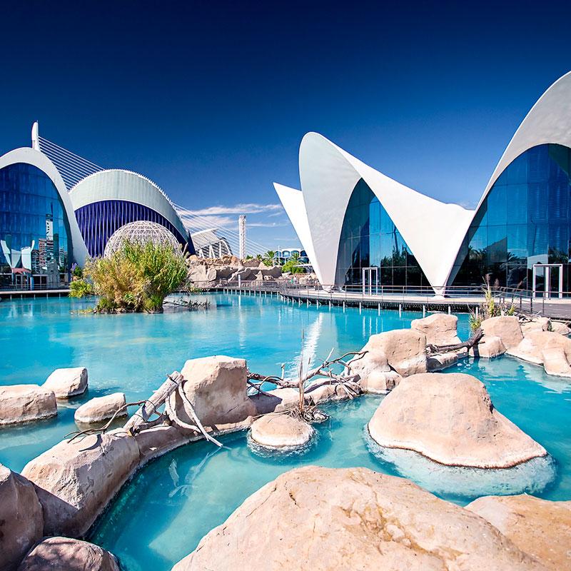 Erasmus Activities - Happy Erasmus Valencia